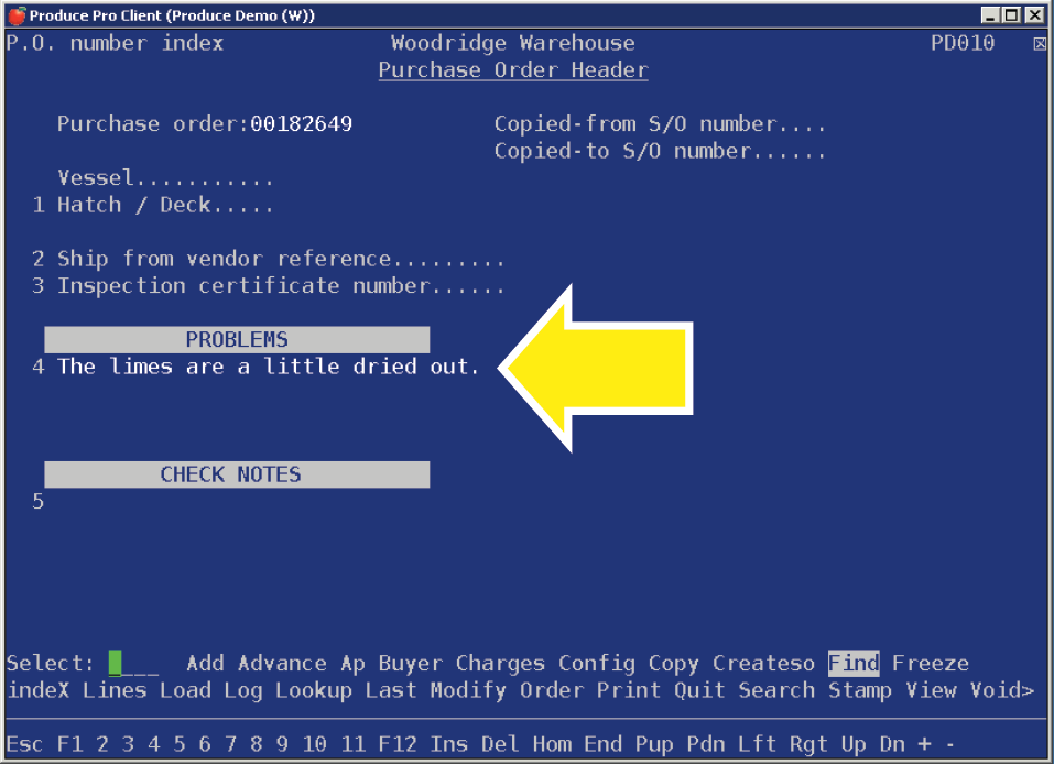 Reviewing a list of purchase order problems